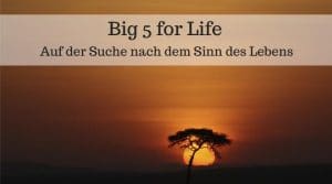 Gestalte dein Leben mit den Big Five for Life + Beispiele